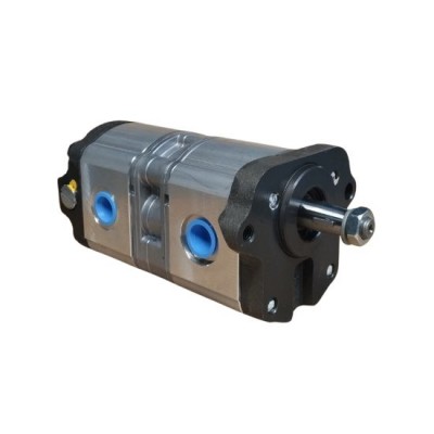 Bomba Hidráulica Dupla Massey Ferguson F000510536 | Peña